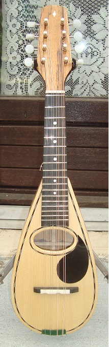 Home Pocket Mandolin New Instruments